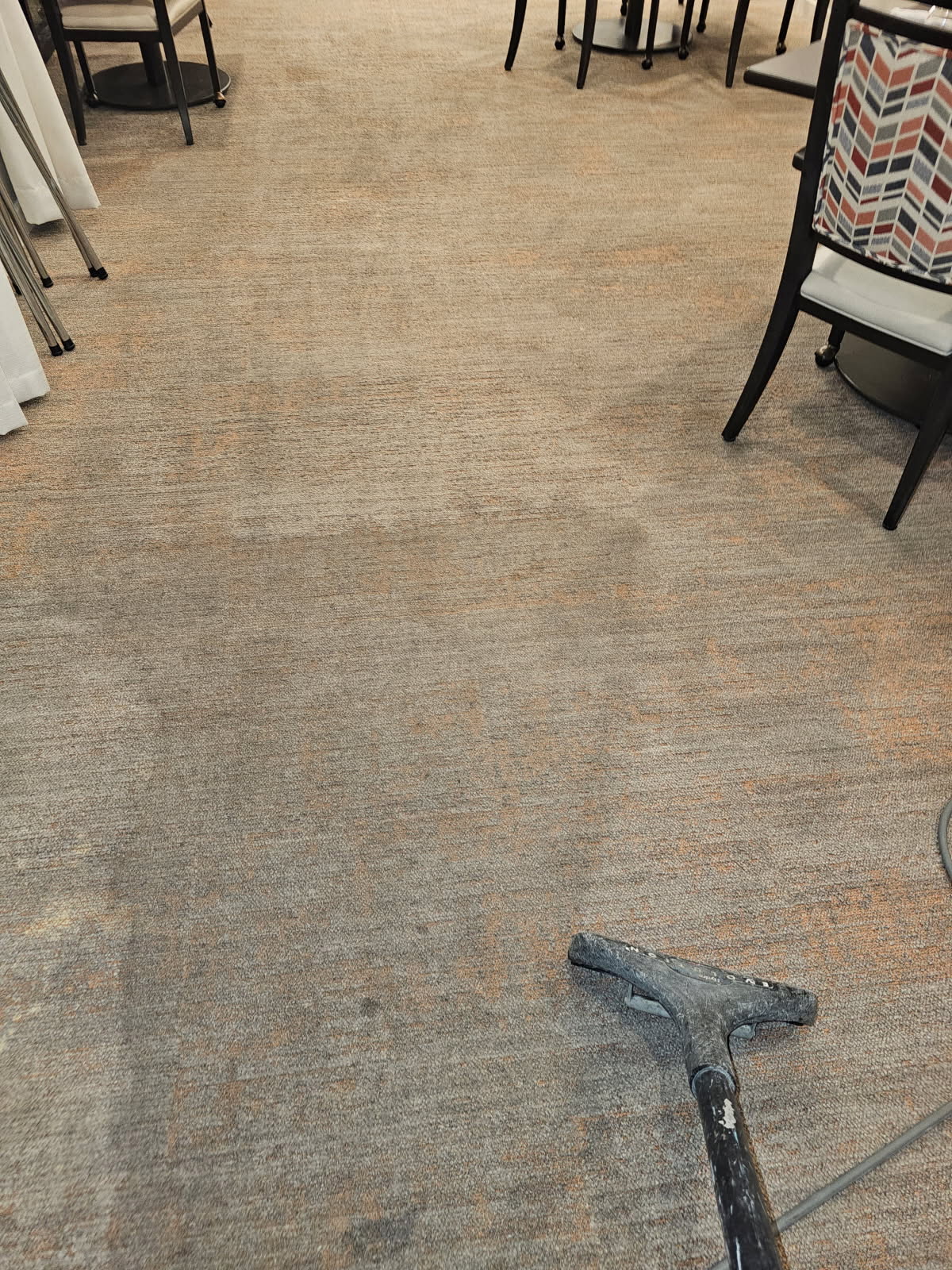 Muddy Carpet? Here’s What You Should Know